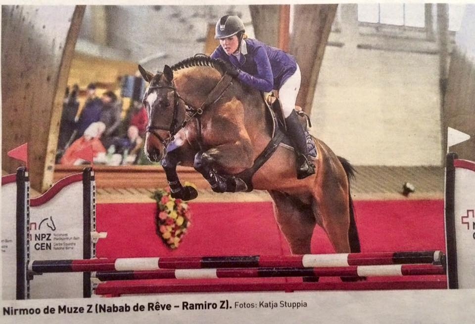NIRMOO DE MUZE Z (Nabab de RÃªve x Ramiro Z) - Azienda Agricola San Martino